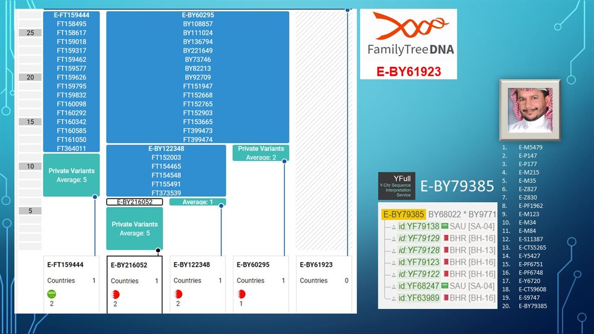 E-M35_Project - Activity Feed | FamilyTreeDNA