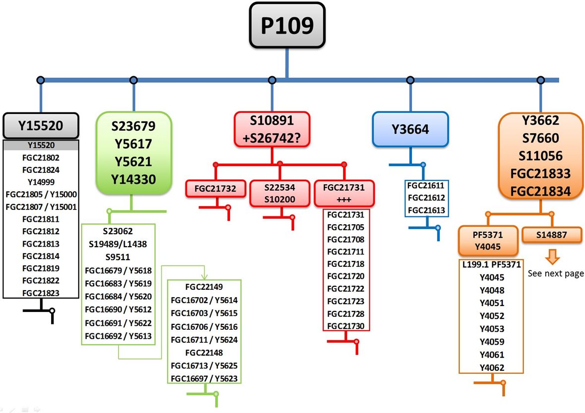 I-P109 Y-DNA - Activity Feed | FamilyTreeDNA