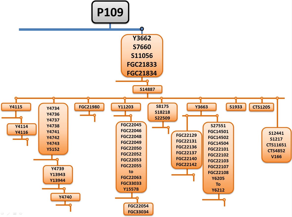 I-P109 Y-DNA - Activity Feed | FamilyTreeDNA